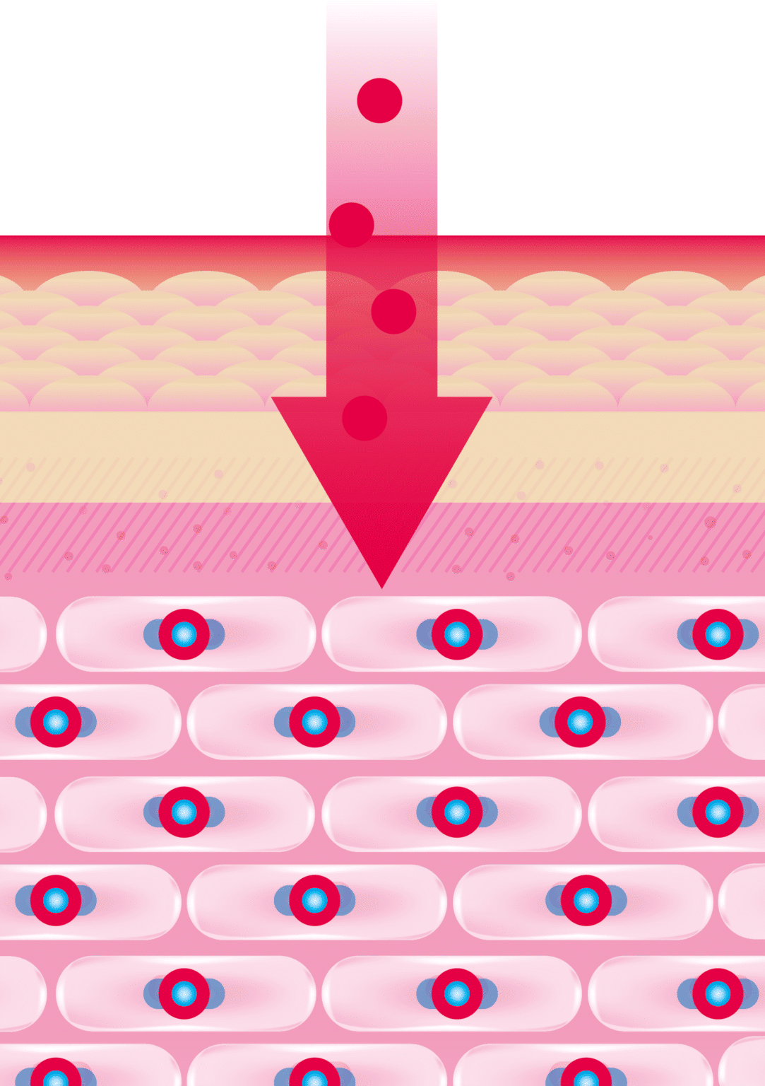 numis® med UREA for extremely dry skin | numis® med